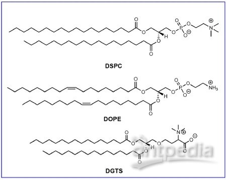 深度解析|脂质纳米粒(LNP)递送RNA药物全过程+如何设计LNP!